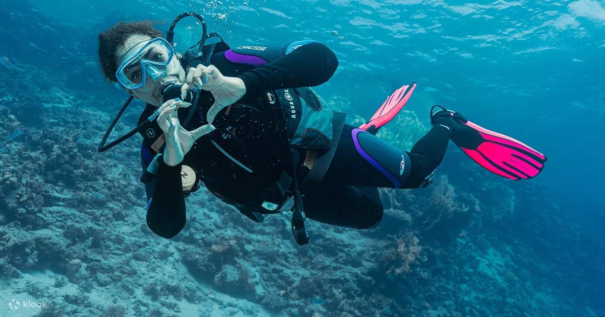 在達哈卜與 Padi 5 星級潛水度假村學習 Padi 開放水域潛水員 潛入大海 Klook香港